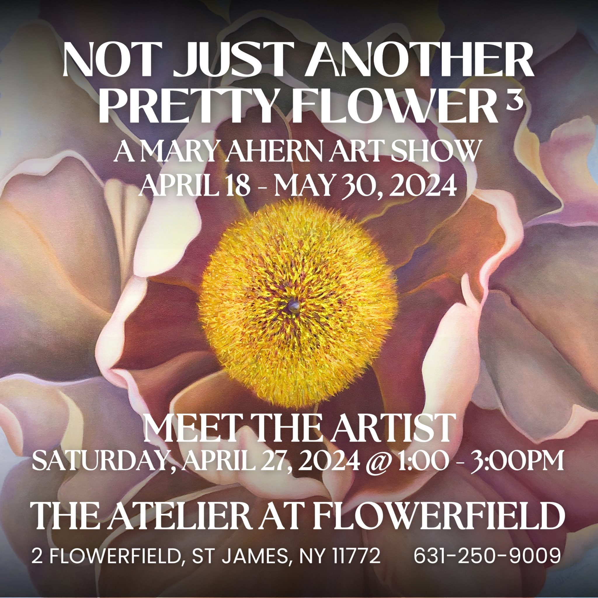 Not Just Another Pretty Flower. A Solo Exhibition by the Artist Mary ...