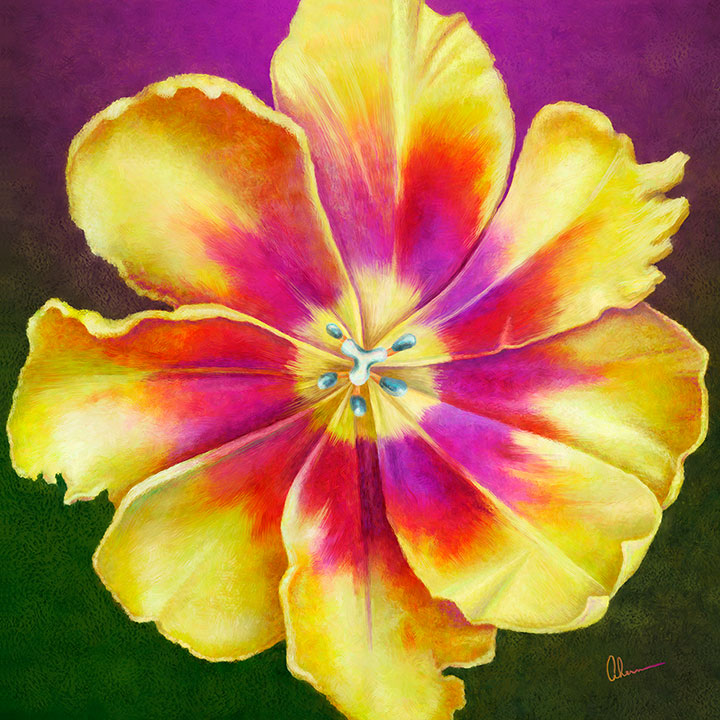 Home Page of Mary Ahern Artist